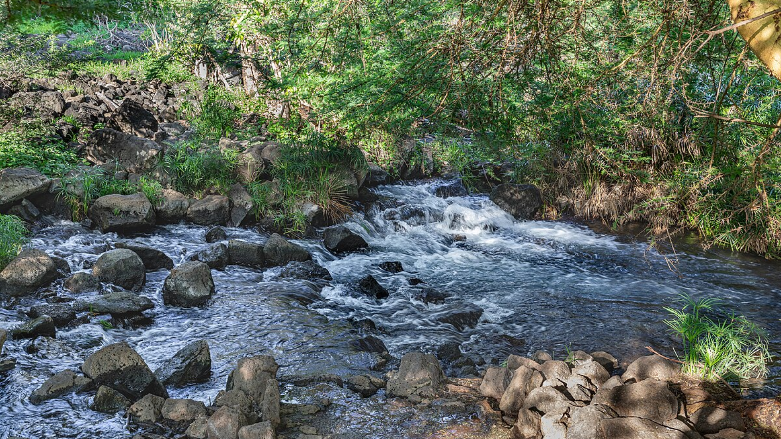 Top 20 Hidden Gems in Kenya You Must Visit! – The Walk Adventures KE